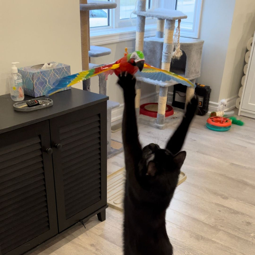 Flappy Bird - The Electronic Flying Bird Cat Toy – Nymock