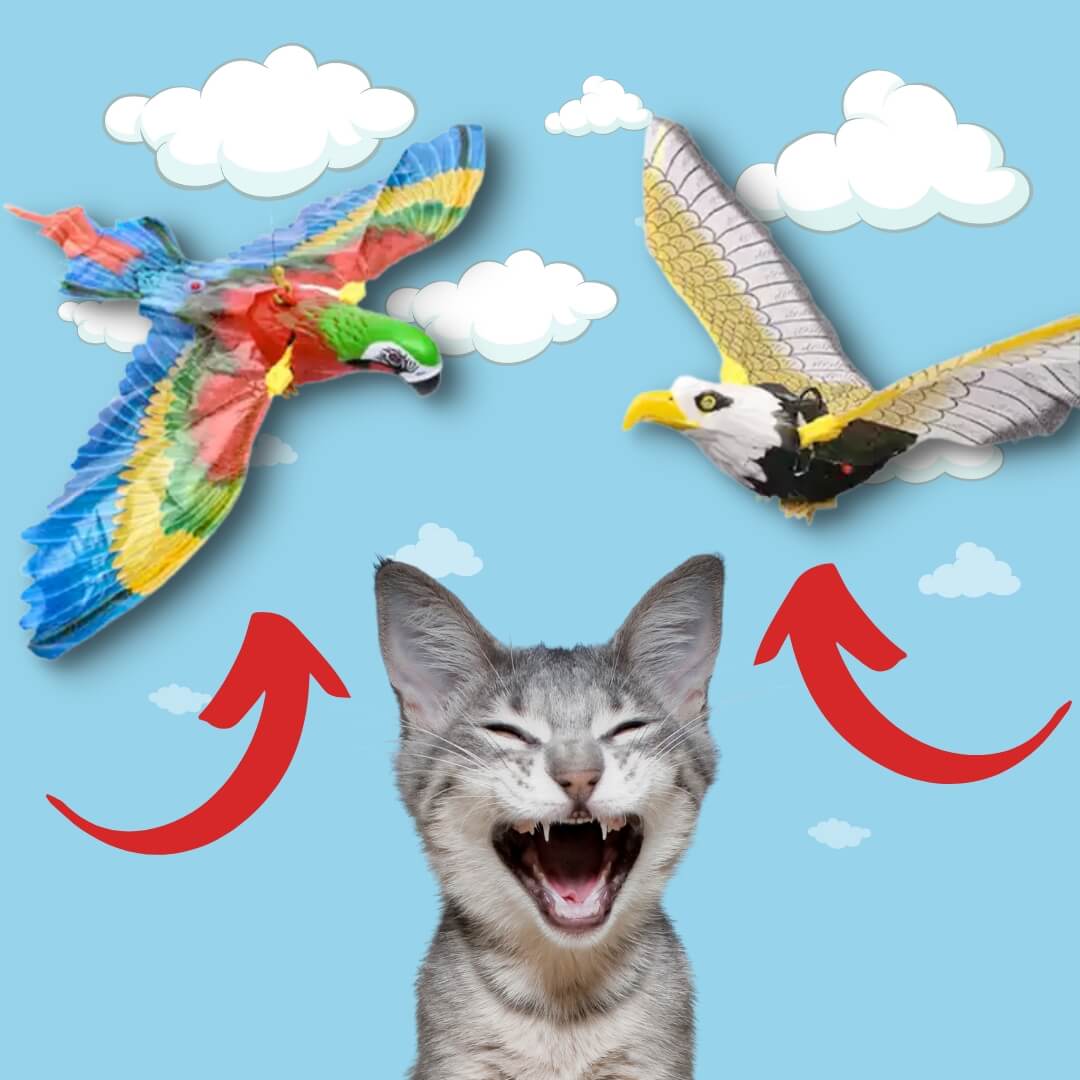Flappy Bird - The Electronic Flying Bird Cat Toy – Nymock
