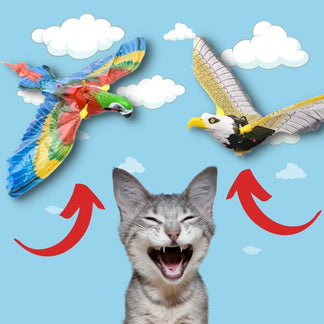 Flappy Bird - The Electronic Flying Bird Cat Toy – Nymock