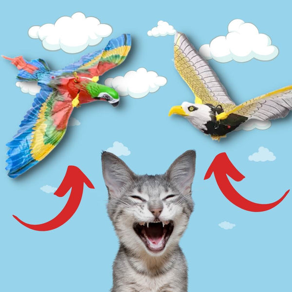 Flappy Bird - The Electronic Flying Bird Cat Toy – Nymock